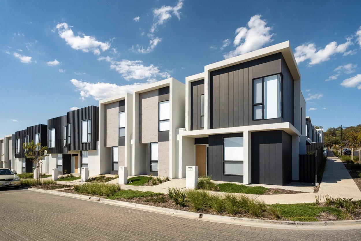 Kite | Hamilton Hill