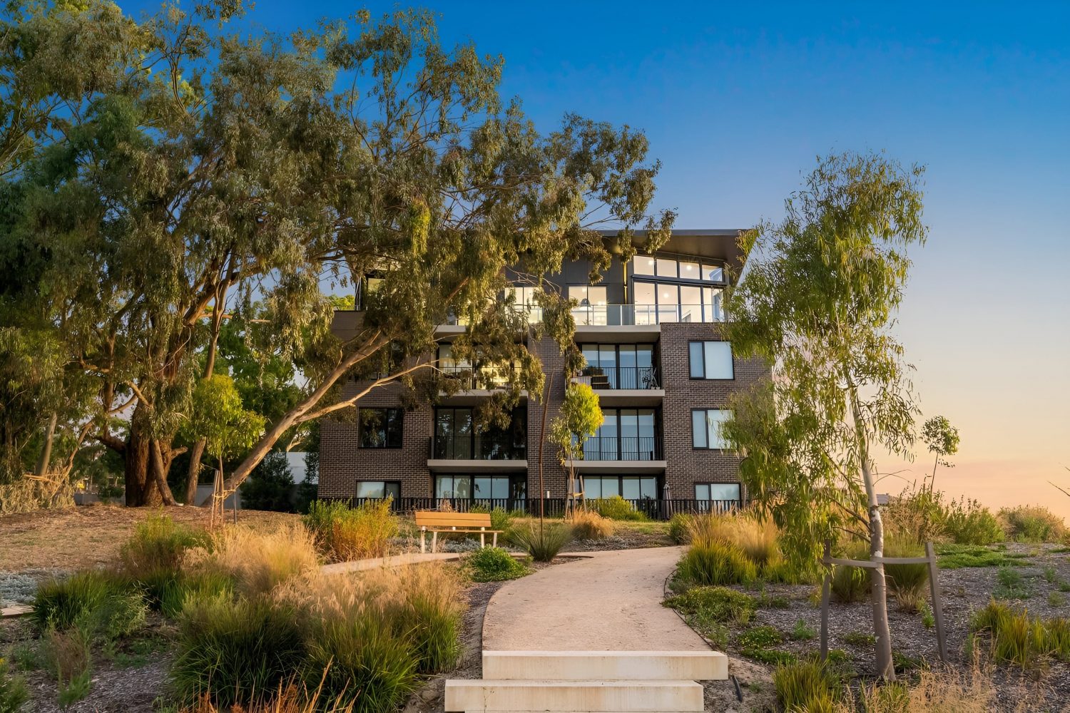 Kite | Hamilton Hill