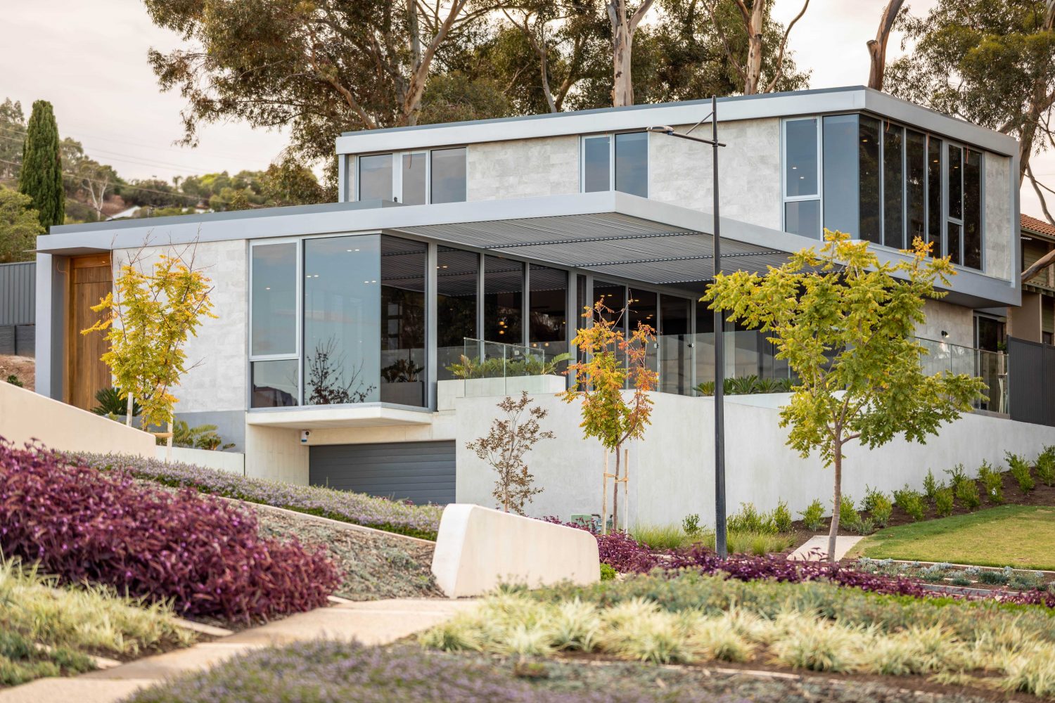 Kite | Hamilton Hill