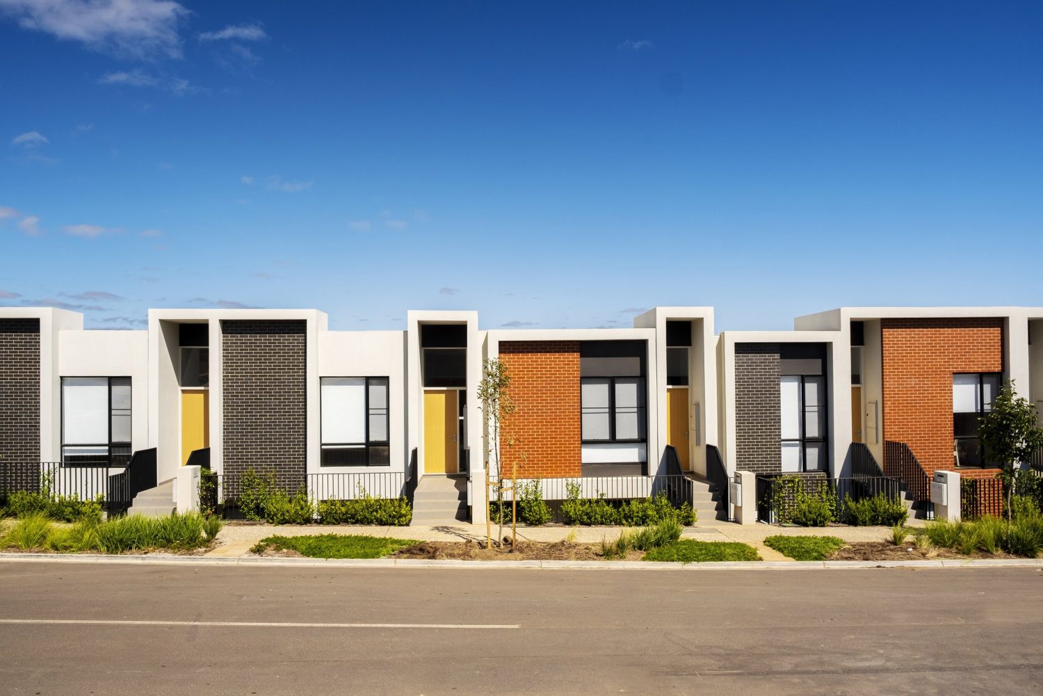 Kite | Hamilton Hill