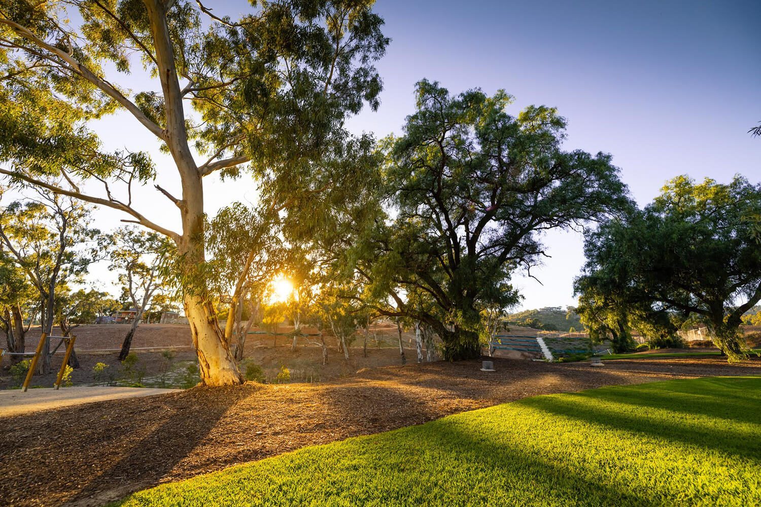 Kite | Hamilton Hill